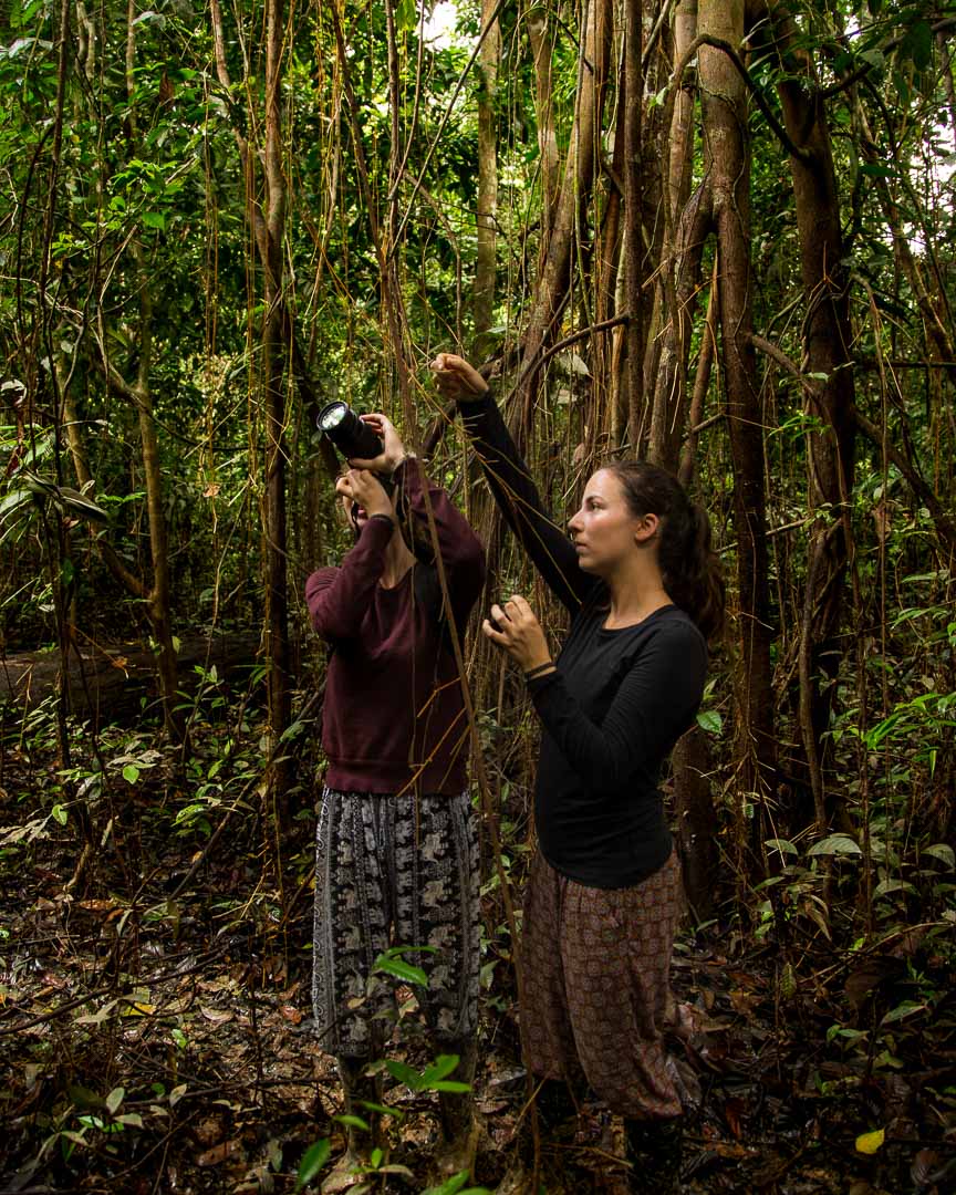 Amazon Jungle Woman